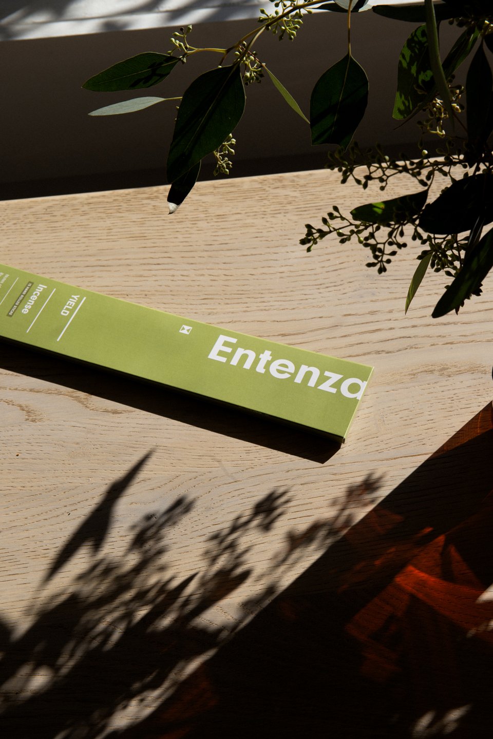 Entenza Incense - Eucalyptus, Rosemary & Birch – DOWSE